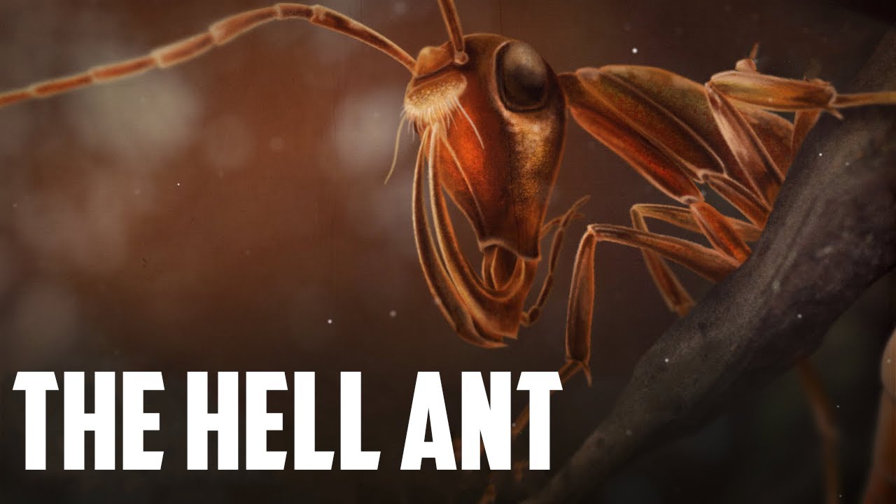 The Hell ANT | 99 Million Year Old Hell Ant | Science Count - YouTube