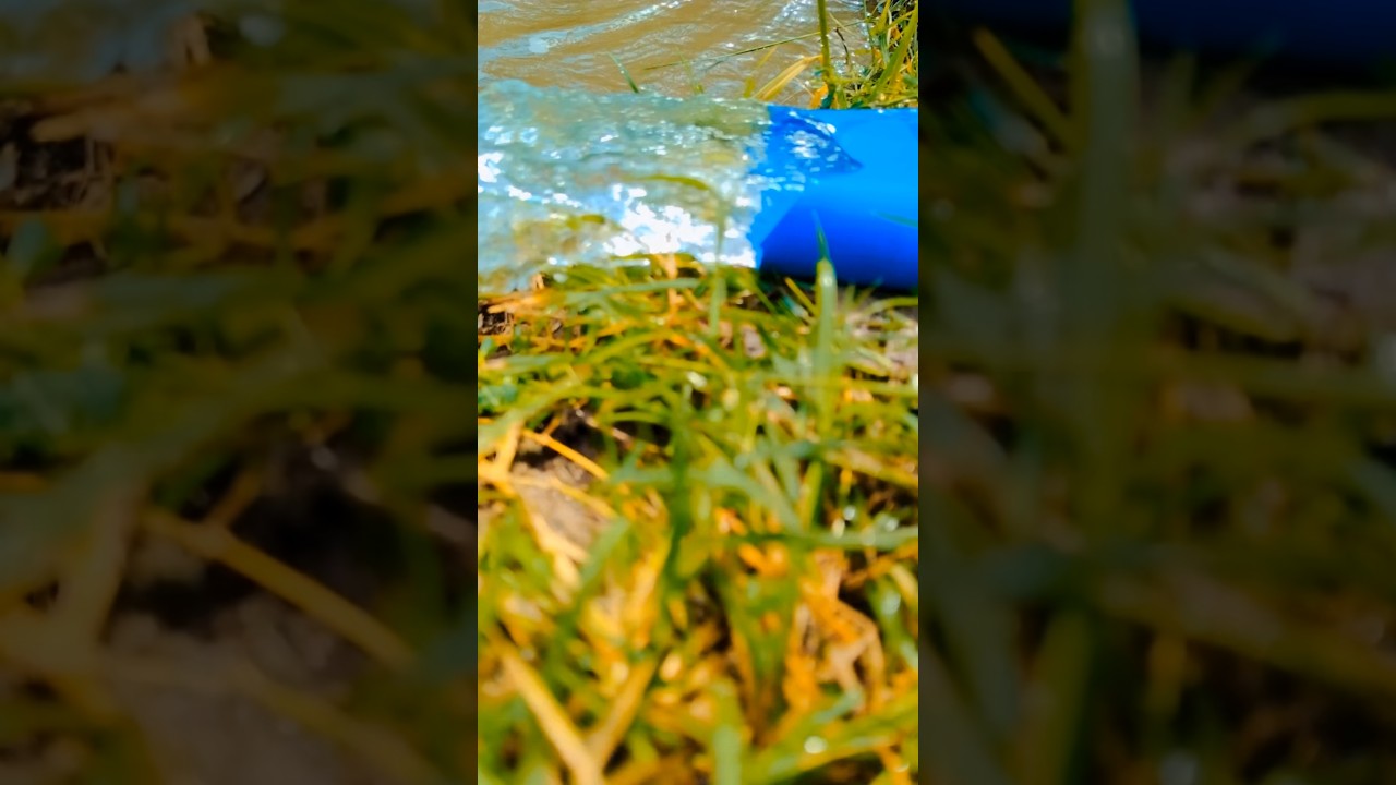 farming water supply to khat - YouTube
