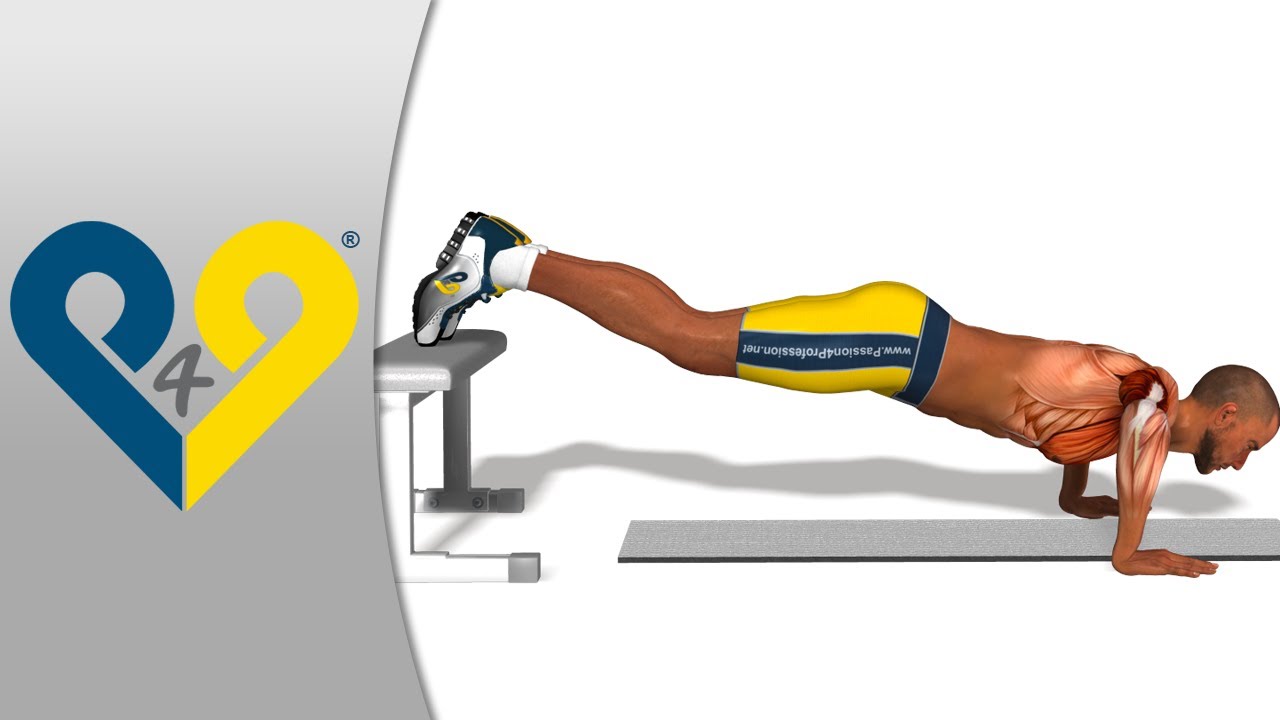 Piegamenti - piedi in appoggio su panca - YouTube