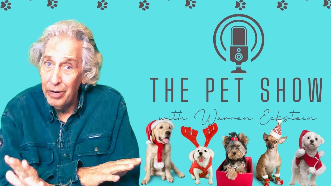 The Pet Show Update 12 2 22 YouTube the-pet-show-update-12-2-22-youtube