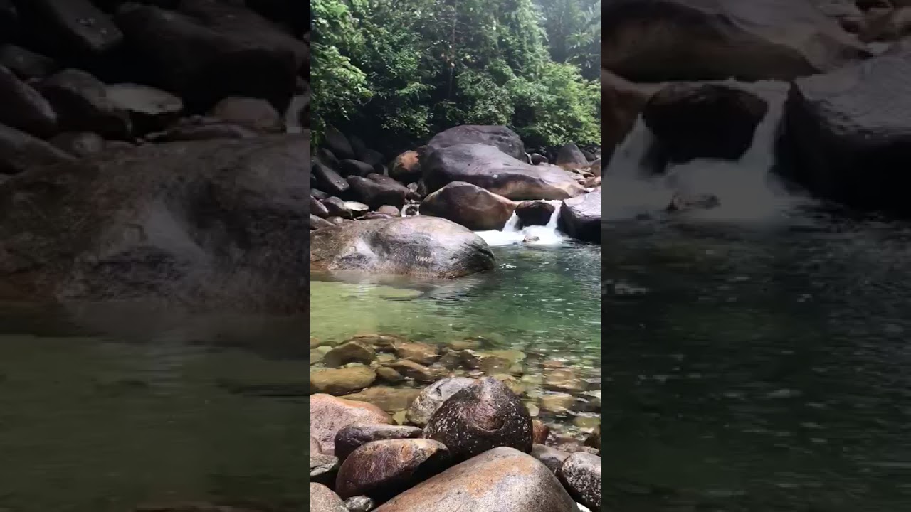 Lata payung - YouTube