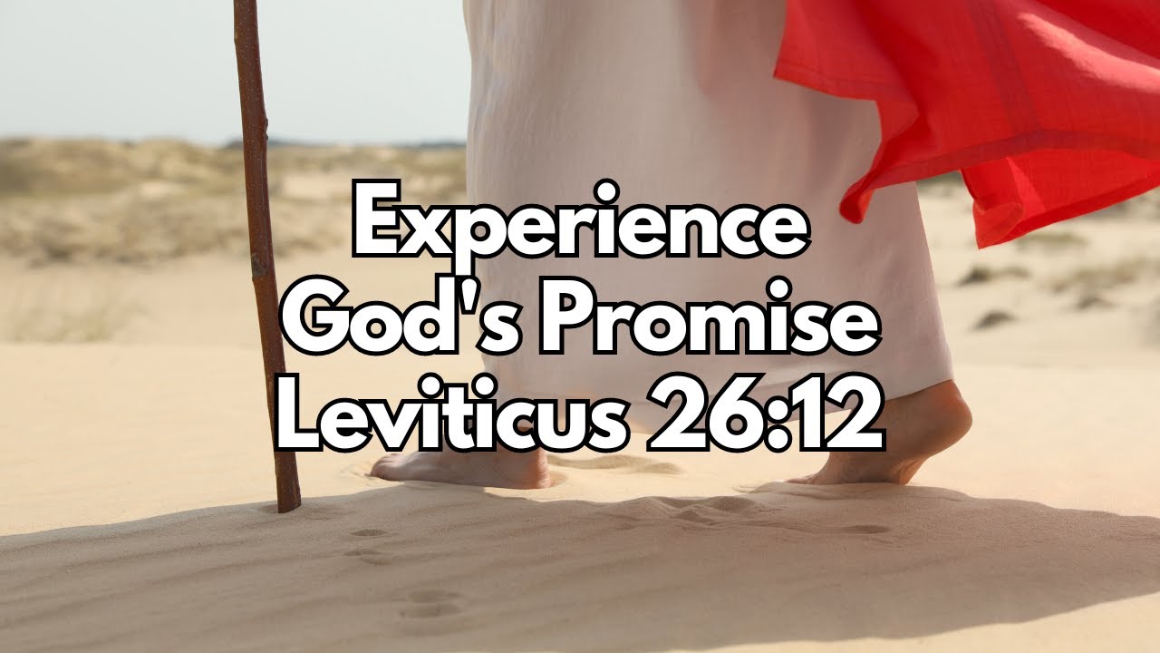 Experience God's Promise | Leviticus 26:12 | Daily Devotion | Daily ...