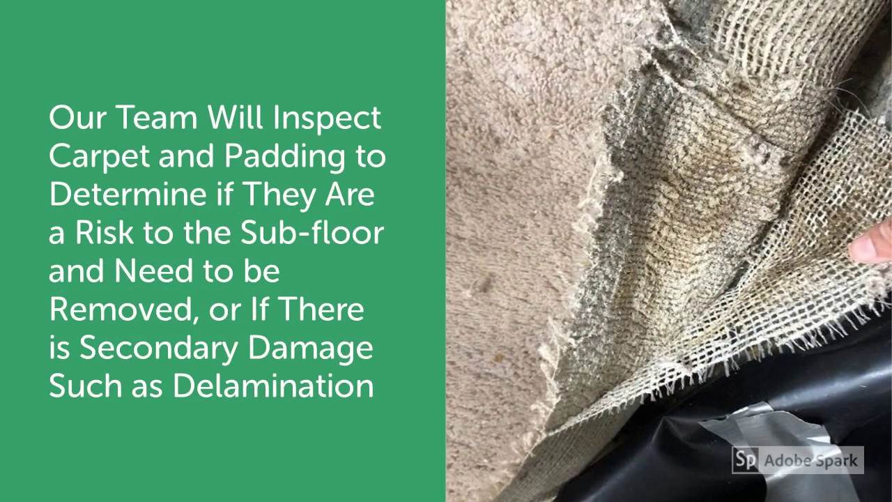 The Water Damage Restoration Process Step 3: Water Extraction - YouTube