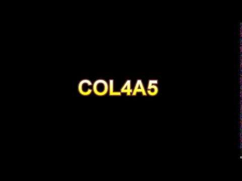 What Is The Definition Of COL4A5 - Medical Dictionary Free Online