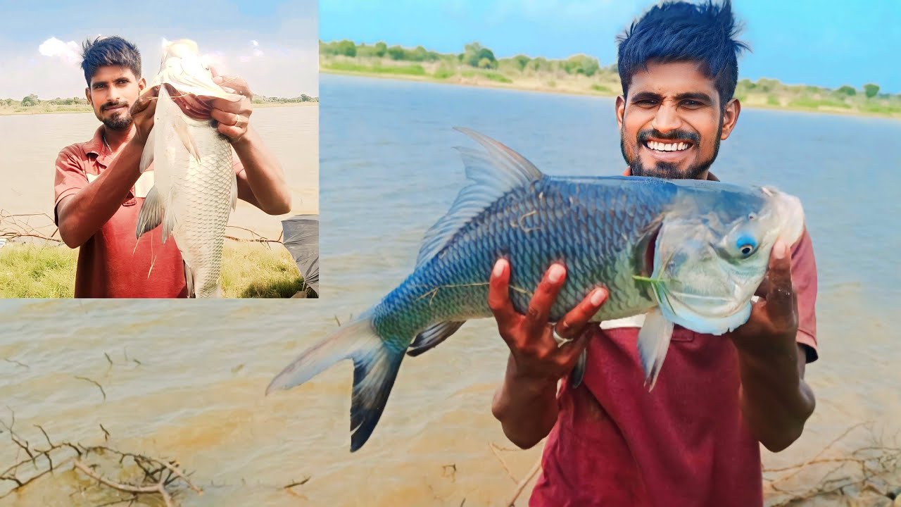 big size | katla fish catching || triple hook fishing" Best Fishing ...