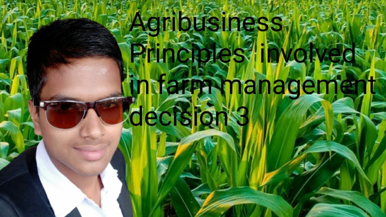 Agribusiness : principles involved in farm management decision -3 - YouTube