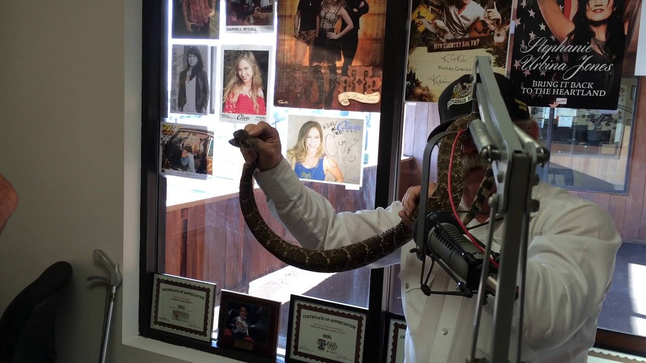 KGKL Sweetwater Rattlesnake Roundup 3 1 2016 - YouTube