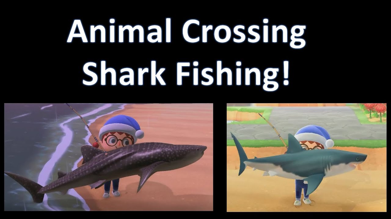 Animal Crossing Shark Fishing! Nintendo Switch - YouTube