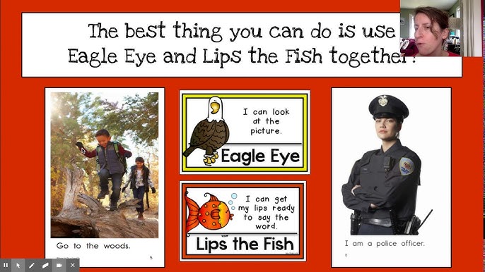 Flippy Delfin Lesestrategi