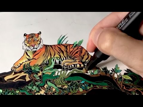 Drawing an endangered Tiger & Owl. - YouTube