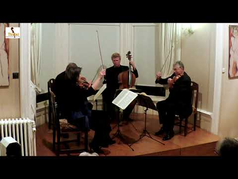 Prazak Quartet Ludwig van Beethoven Strijkkwartet opus 18 nr 3 - YouTube