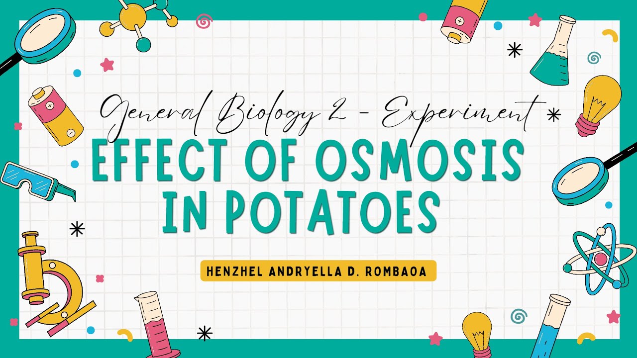 Osmosis Experiment Using Potato - General Biology 2 - YouTube