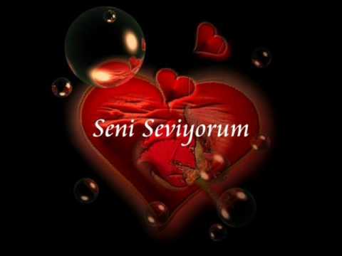 Seni Seviyorum
