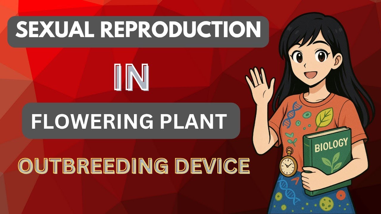 Outbreeding Devices | Class 12 Biology | Detailed Explanation 🌺 - YouTube