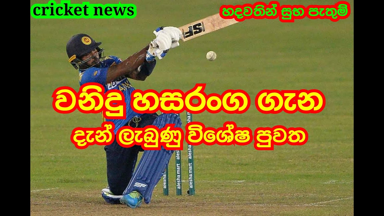 Special cricket news about Vanidu Hasaranga | special cricket news in ...