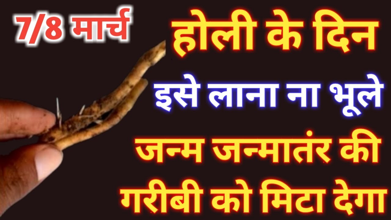Holika Dahan होली के दिन इसे घर लाना मत भूलना जन्म जन्मांतर की गरीबी ...