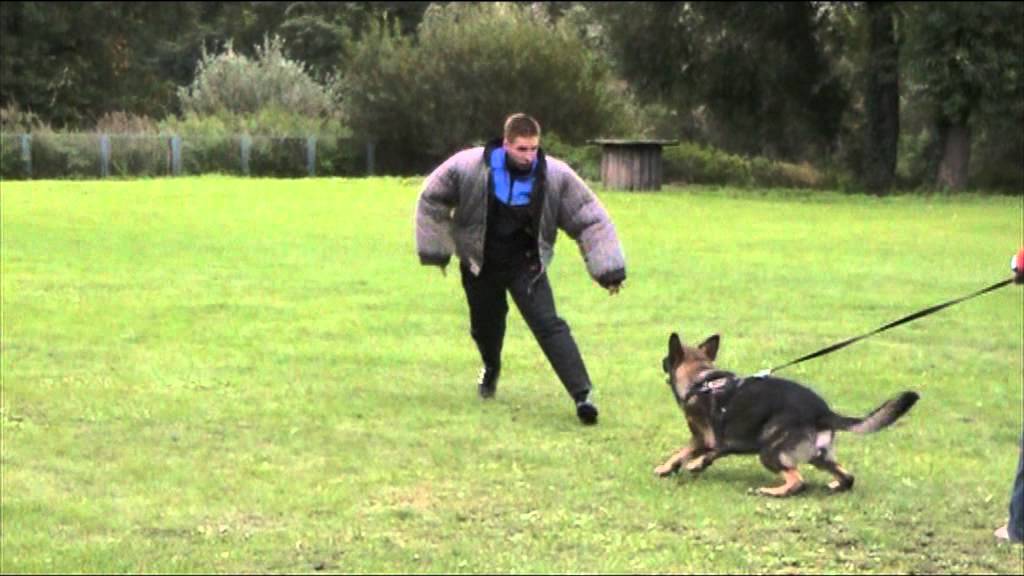 Dusty z udoli Upy - ringo - YouTube