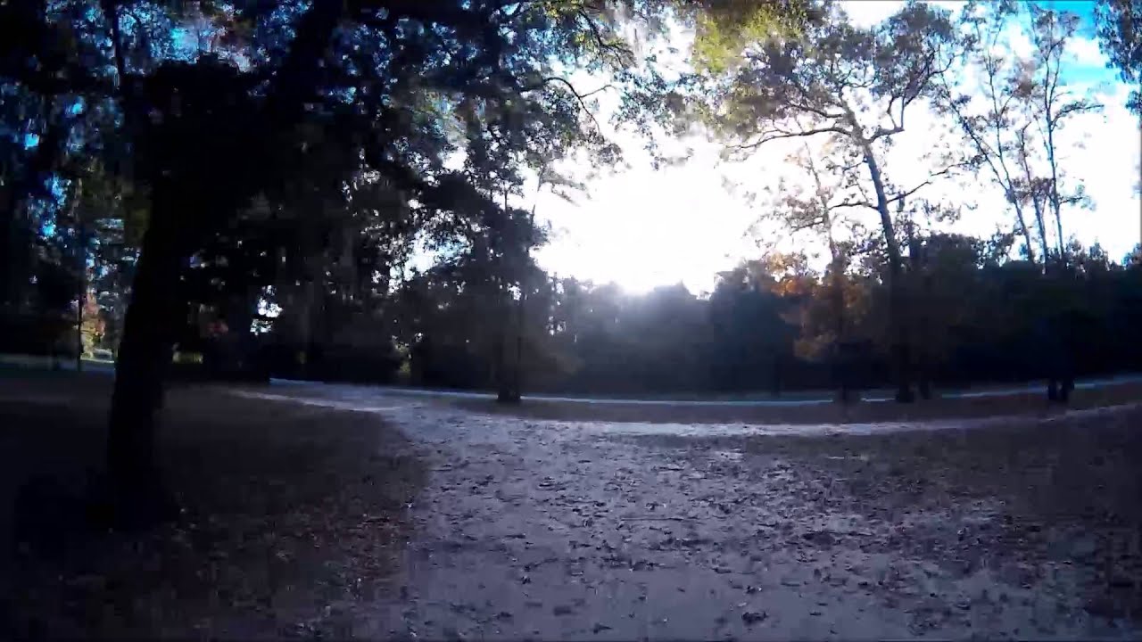 Trippin' with the trees - YouTube