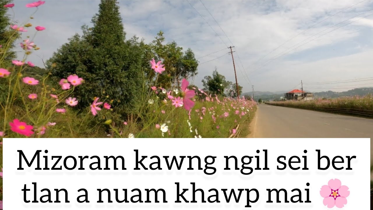 Mizoram kawng ngil sei ber #hnahsin par#mizo #flowers - YouTube
