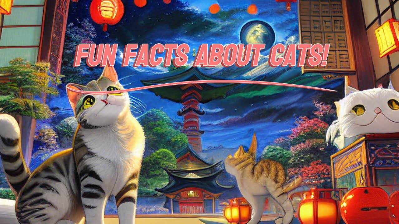 Whiskers & Wonder: Exploring the Enchanting World of Cats! 😺🌟 - YouTube