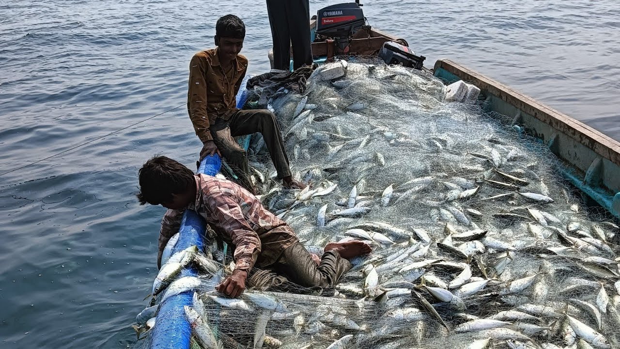 FISH BANGDA FISHfishing Mangrol bara 2023 - YouTube