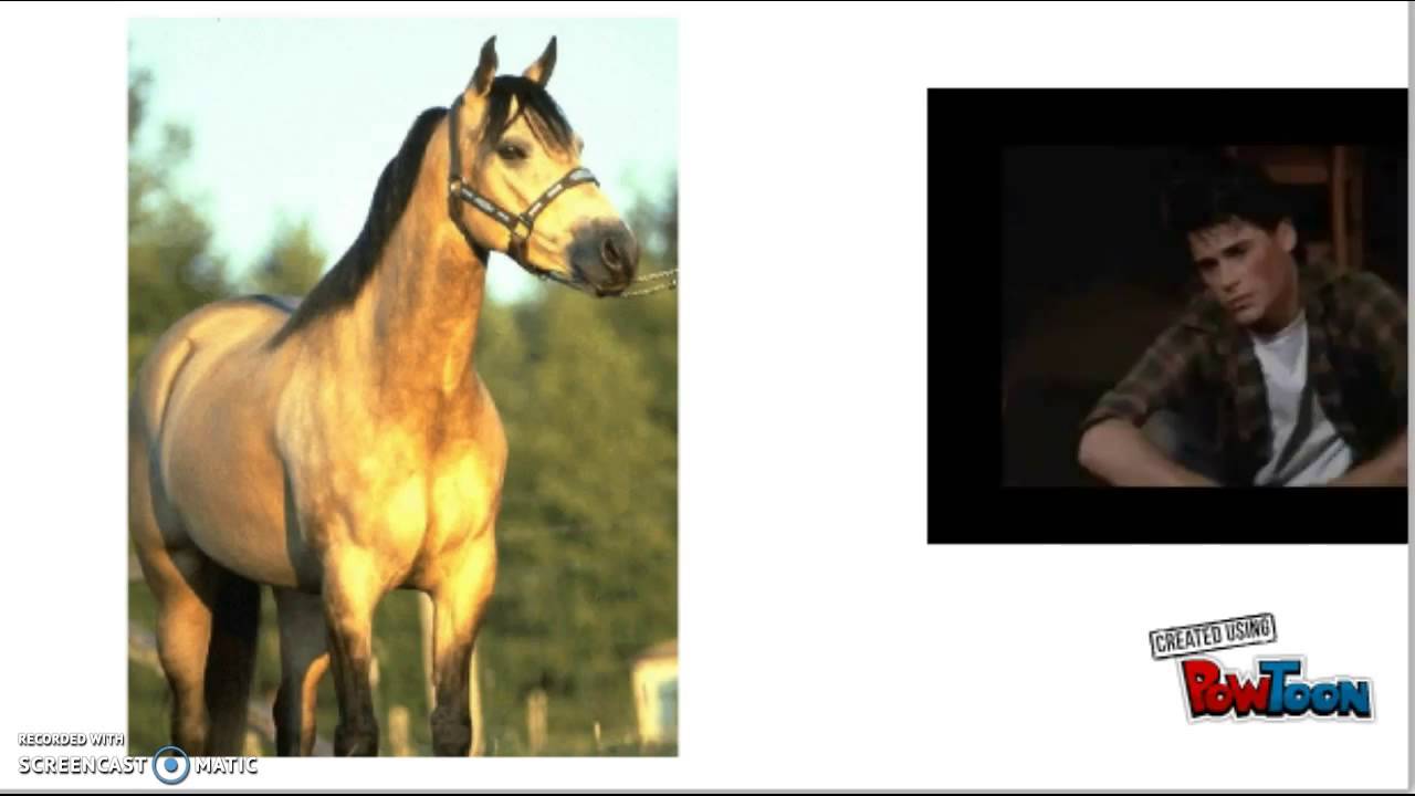 The Outsiders Book Vs Movie YouTube the-outsiders-book-vs-movie-youtube