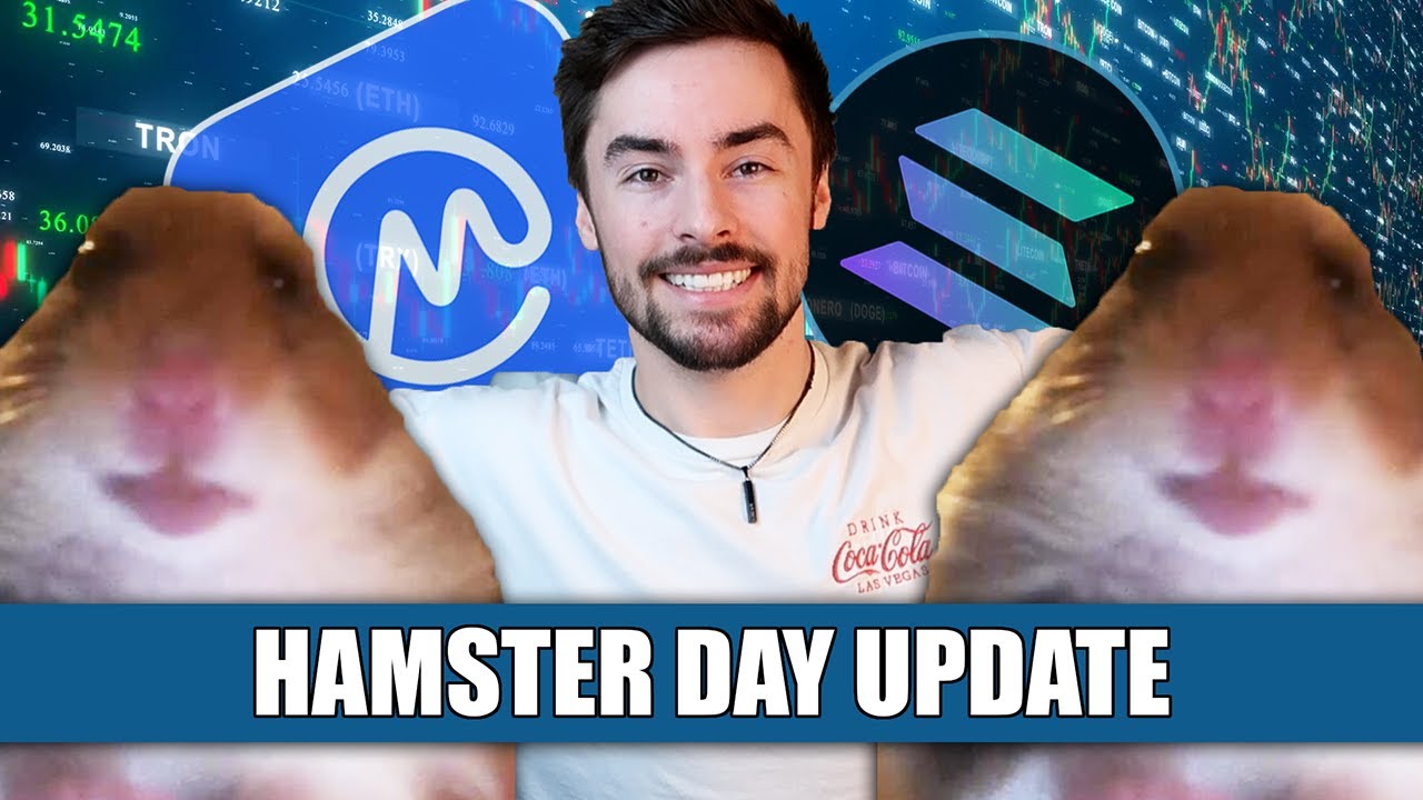 Running a Multi-Million Dollar Solana Meme Coin Project ($HAMI Update 3 ...