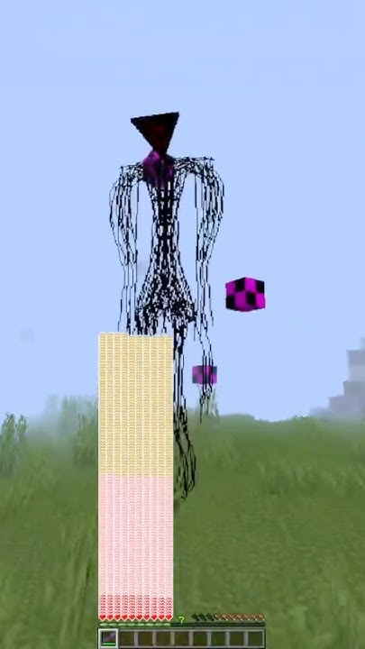 The Broken Script Integrity Boss fight but im unkillable #phonk # ...