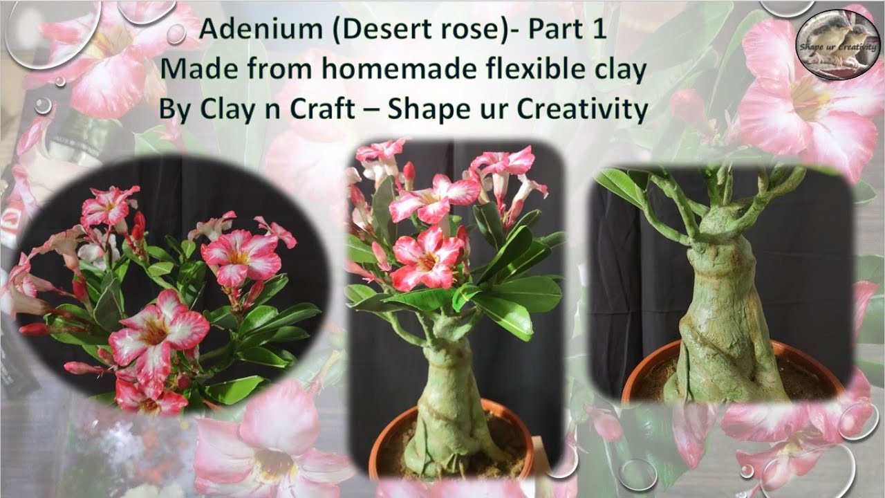 Tutorial: Desert Rose (Adenium) made from homemade flexible clay.. Part ...