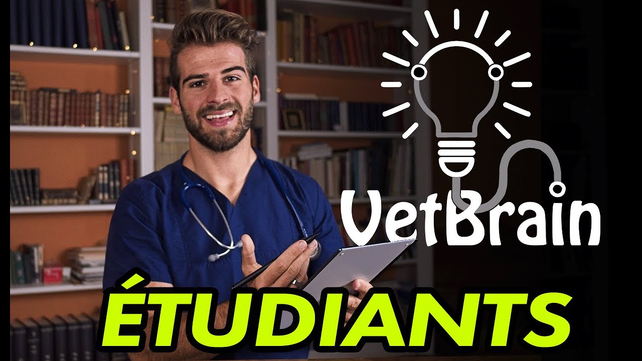 Vet Brain, le système pour apprendre la médecine vétérinaire - YouTube