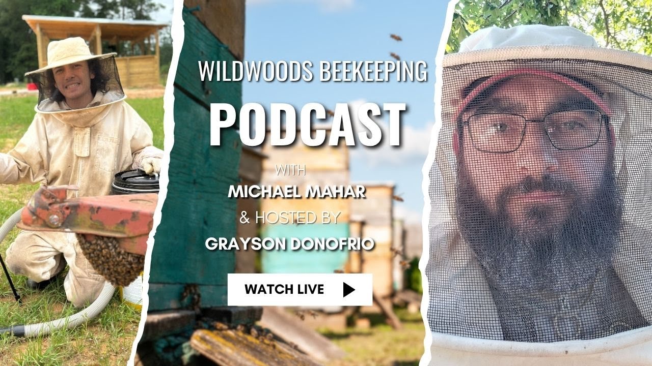 WILDWOODS BEEKEEPING CHAT with MICHAEL MAHAR – From Bees to Product ...