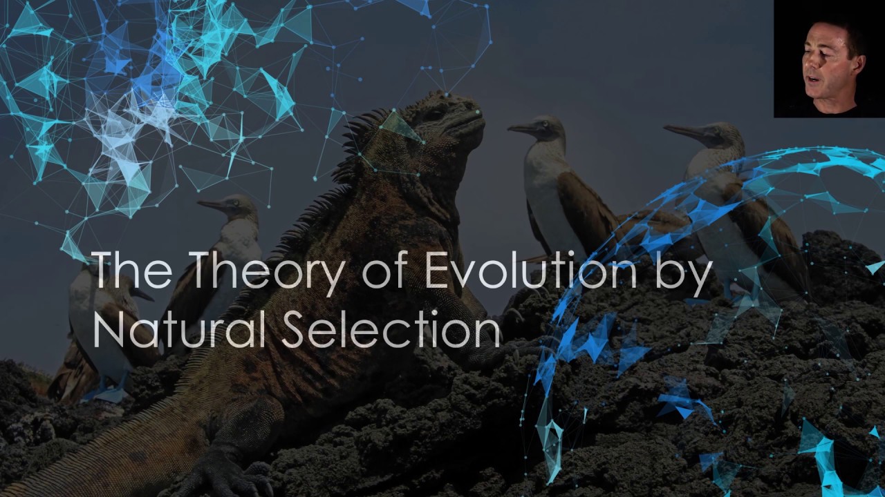 The Theory of Evolution by Natural Selection - YouTube