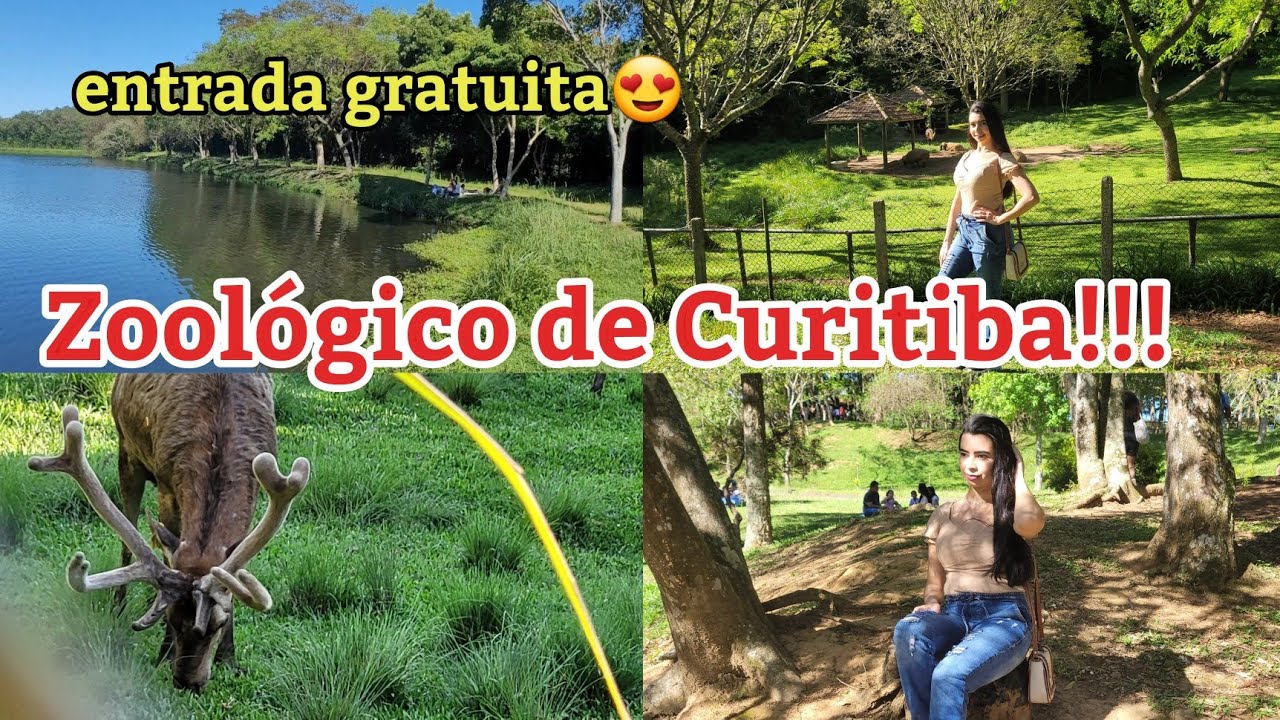 TOUR PELO ZOOLÓGICO MUNICIPAL de CURITIBA um passeio maravilhoso😍 - YouTube