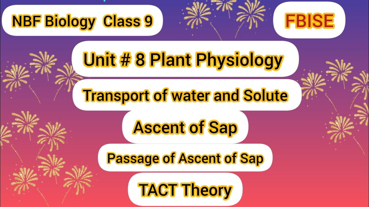 NBF Biology 9 | Unit # 8 Plant Physiology | Ascent Of Sap | TACT Theory ...