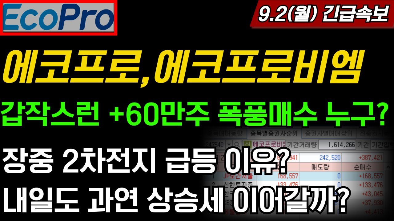 에코프로에코프로비엠 오늘 갑작스런 60만주 폭풍매수 누구 2차전지 급등한 이유 2가지 내일도 이 상승세를 이어갈까 포스코홀딩스 포스코퓨처엠 에코프로머티 Youtube