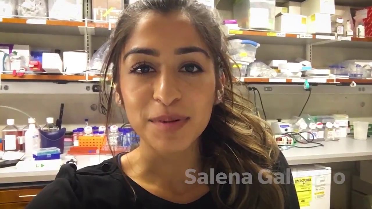 What does stem cell research give you hope for? | Americans for Cures ...