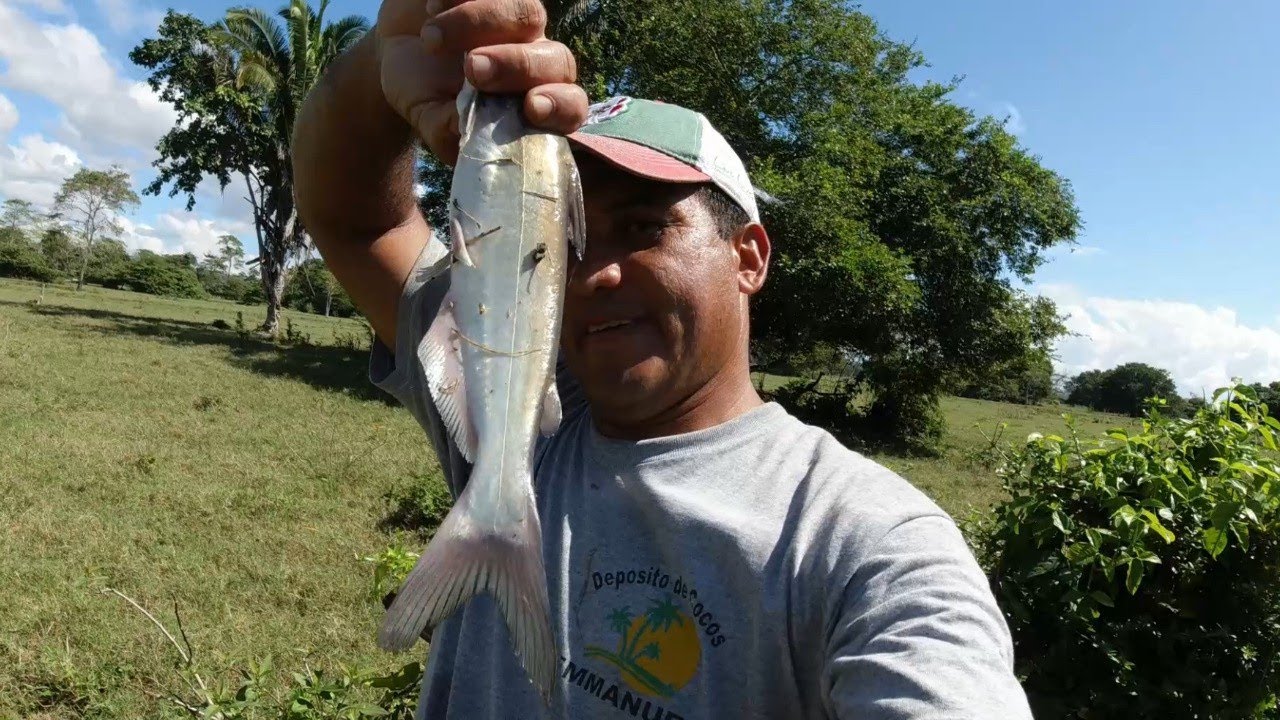 Pescamos con cuerda y Atarraya y Cocinamos un rico caldo de Pescado a ...