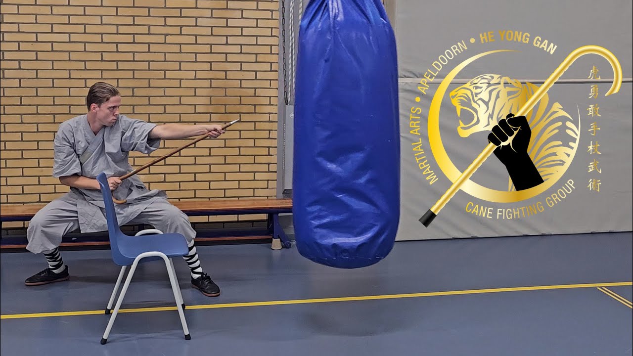 Cane Fighting: High Block - Kick - Strike - Leg Sweep - Martial Arts ...