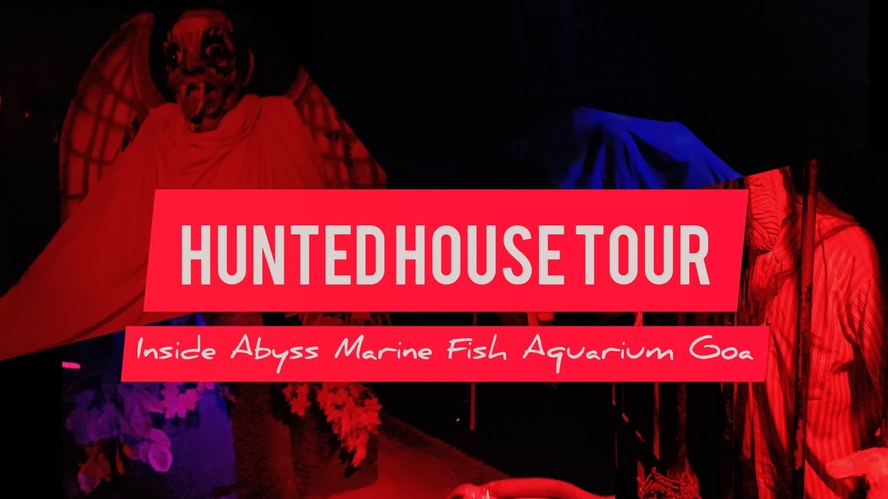 Hunted House tour inside Abyss Marine Fish Aquarium | Goa - YouTube