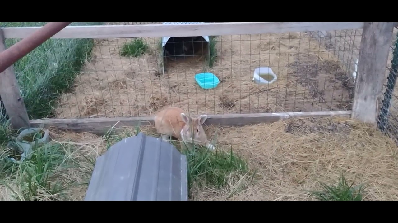 April 15, 2024 - YouTube