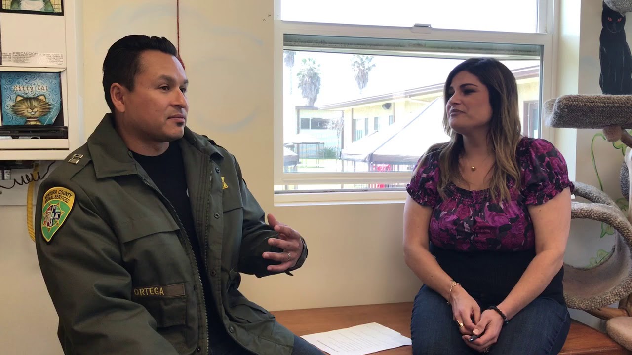 ACO Appreciation Week Interview - YouTube
