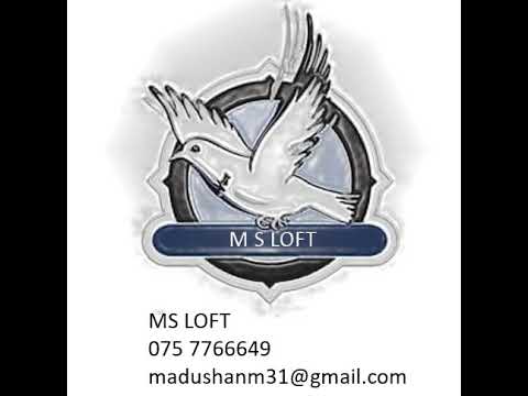 Elle match - YouTube