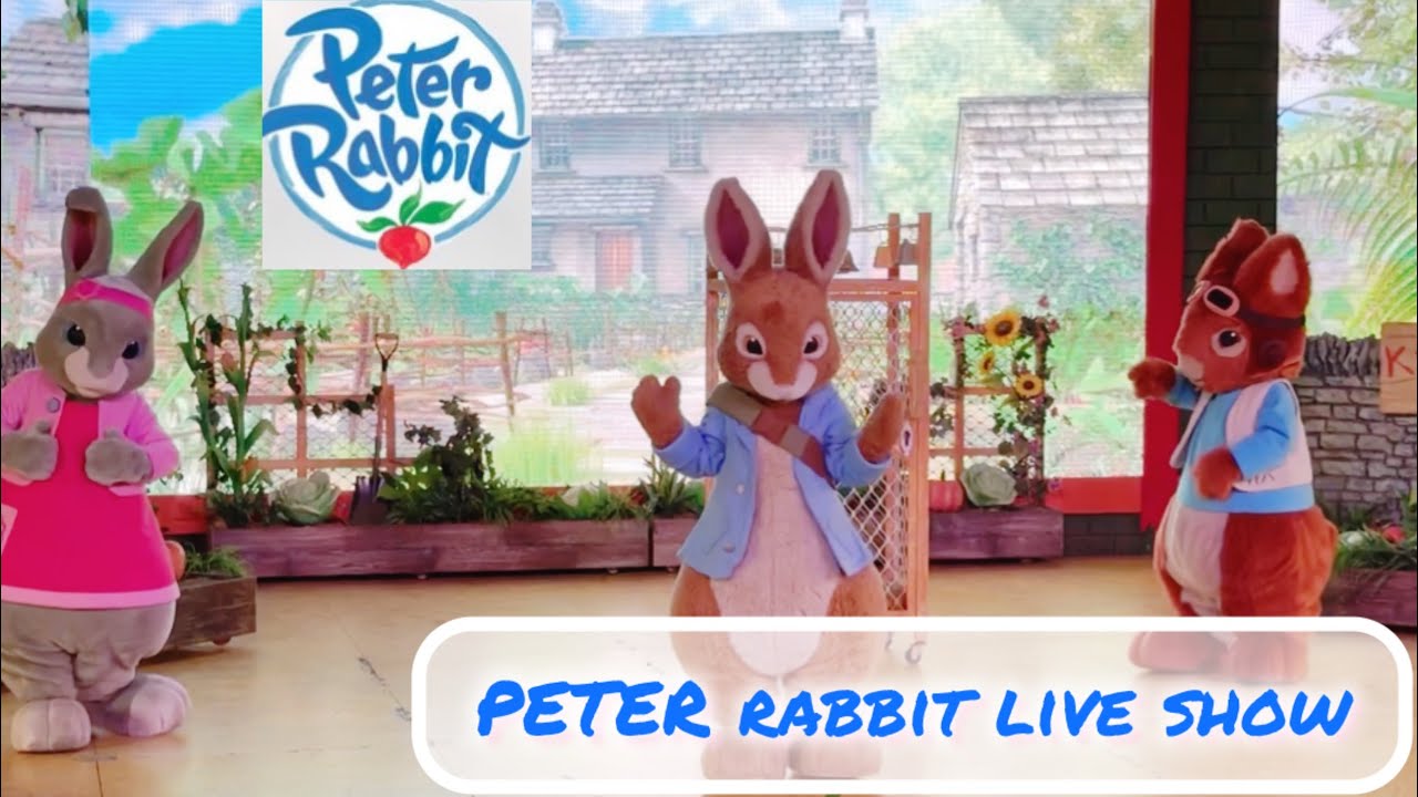 Peter Rabbit Live on Stage | Peter Rabbit Live Show @Ahmad-zoya - YouTube