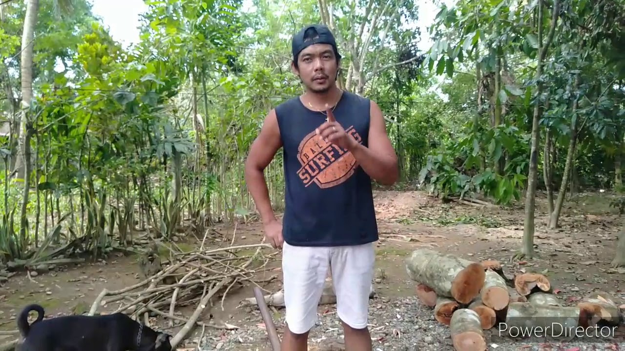 Gawain ng matikas at makisig na lalaki sa Probinsya - YouTube