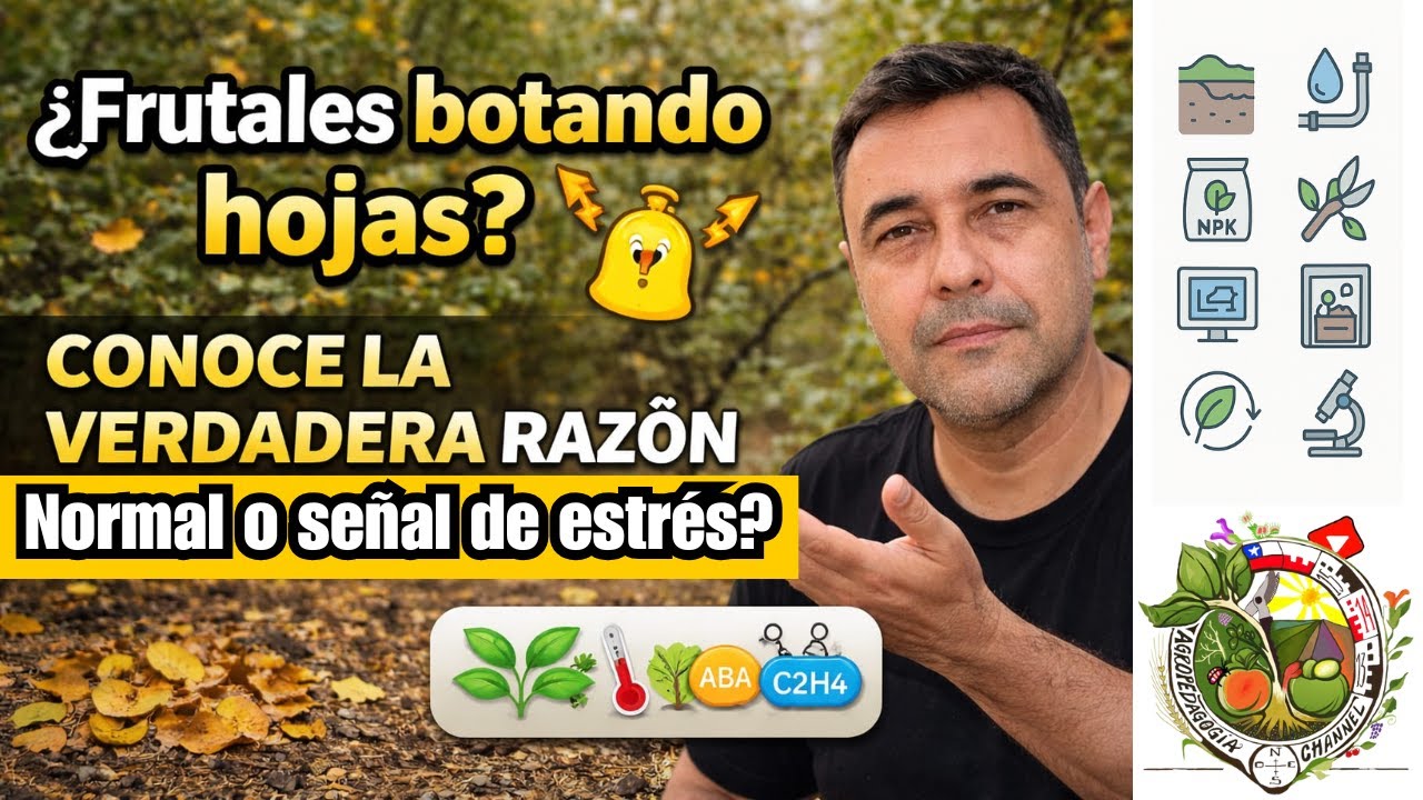 ¿Por Qué Caen las Hojas en Otoño? Fisiología de la Abscisión en Plantas ...