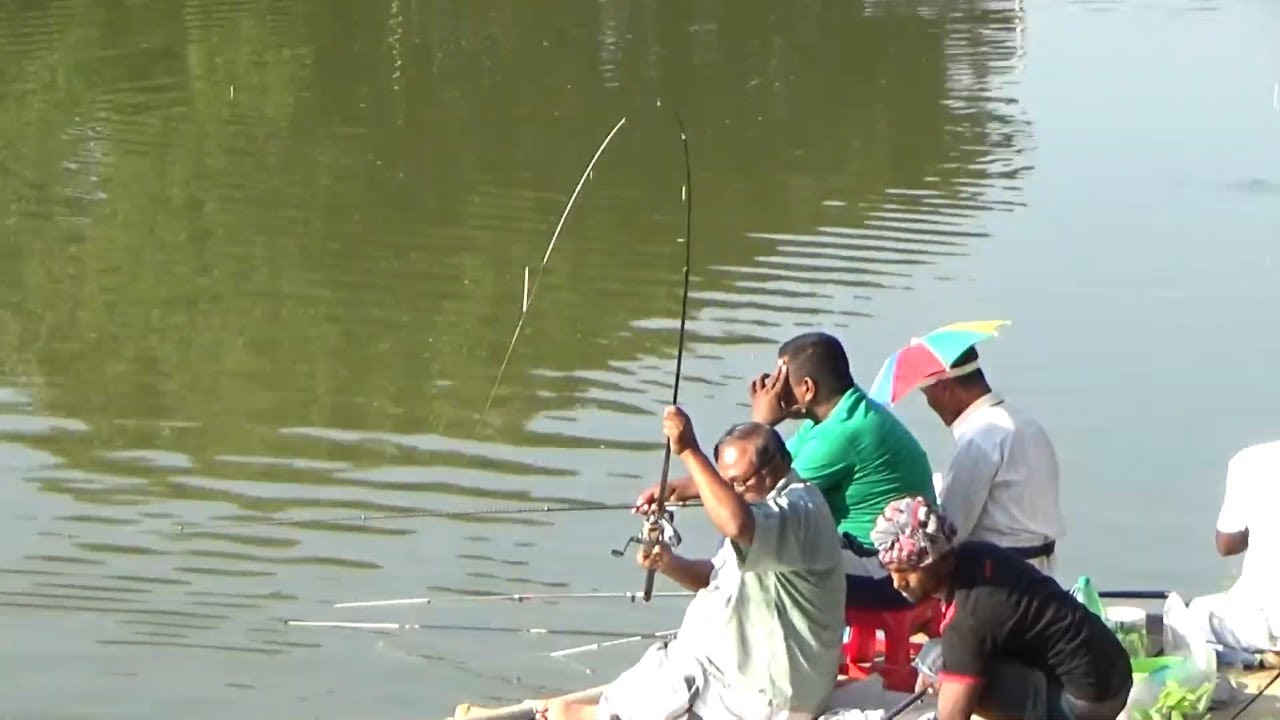 Best Fish Catching Videos By Fishing Rod - YouTube