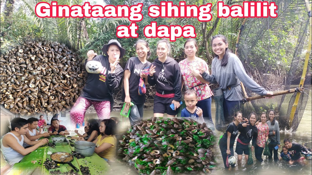 Catch&cook: Ginataang sihing Dapa at Balilit/Nanguha kami ng sihi sa ...