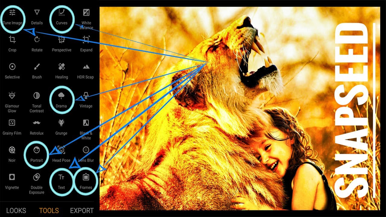 Snapseed Amazing Photo Editing Tutorial | Photo Frame | Snapseed text ...