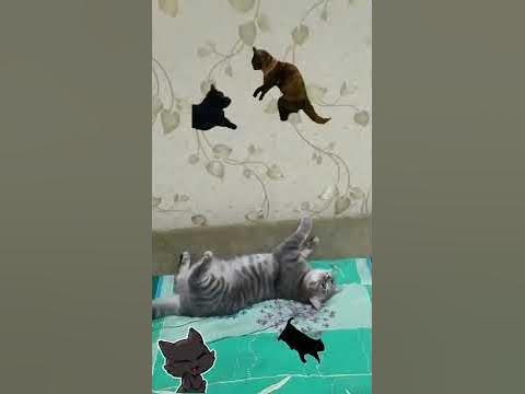 *Четвероногие друзья*😉 - YouTube