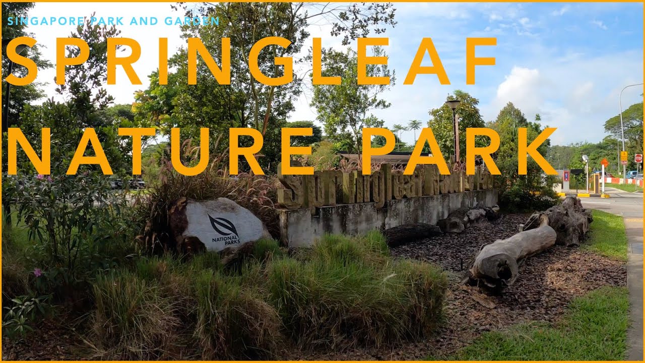 Springleaf Nature Park - Singapore Park and Garden #4KVIDEO - YouTube